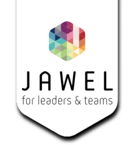 Leiderschap, Teamontwikkeling en Cultuurverandering - Jawel, voor ...