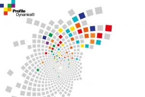Profile Dynamics - Wat kun je ermee? - Drijfverenanalyse als tool bij ...