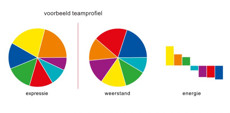 Profile Dynamics - Wat kun je ermee? - Drijfverenanalyse als tool bij ...